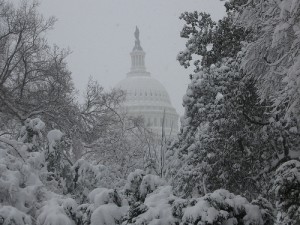 FamousDC Snowmageddon Photo Contest [Round 2] - FamousDC