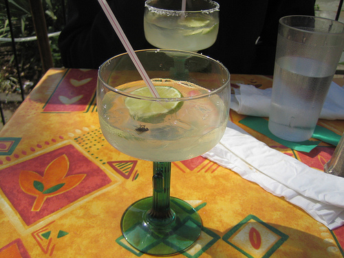 FamousDC - Drunk Fly - FamousDC