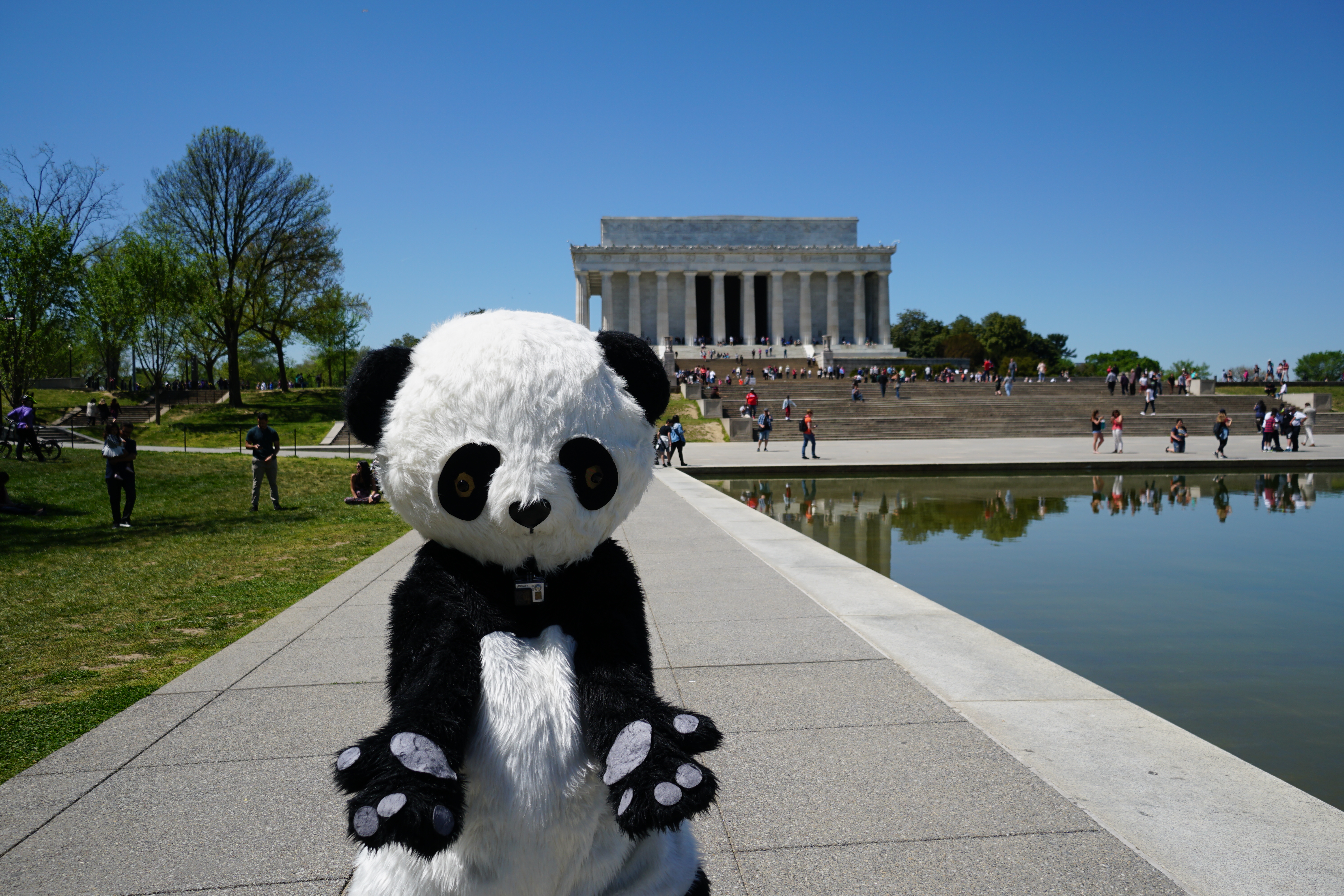 High Fives All Around - FamousDC