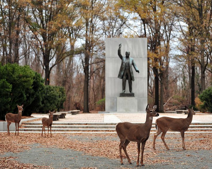Leaf Your House To Do These Fall Activities - FamousDC